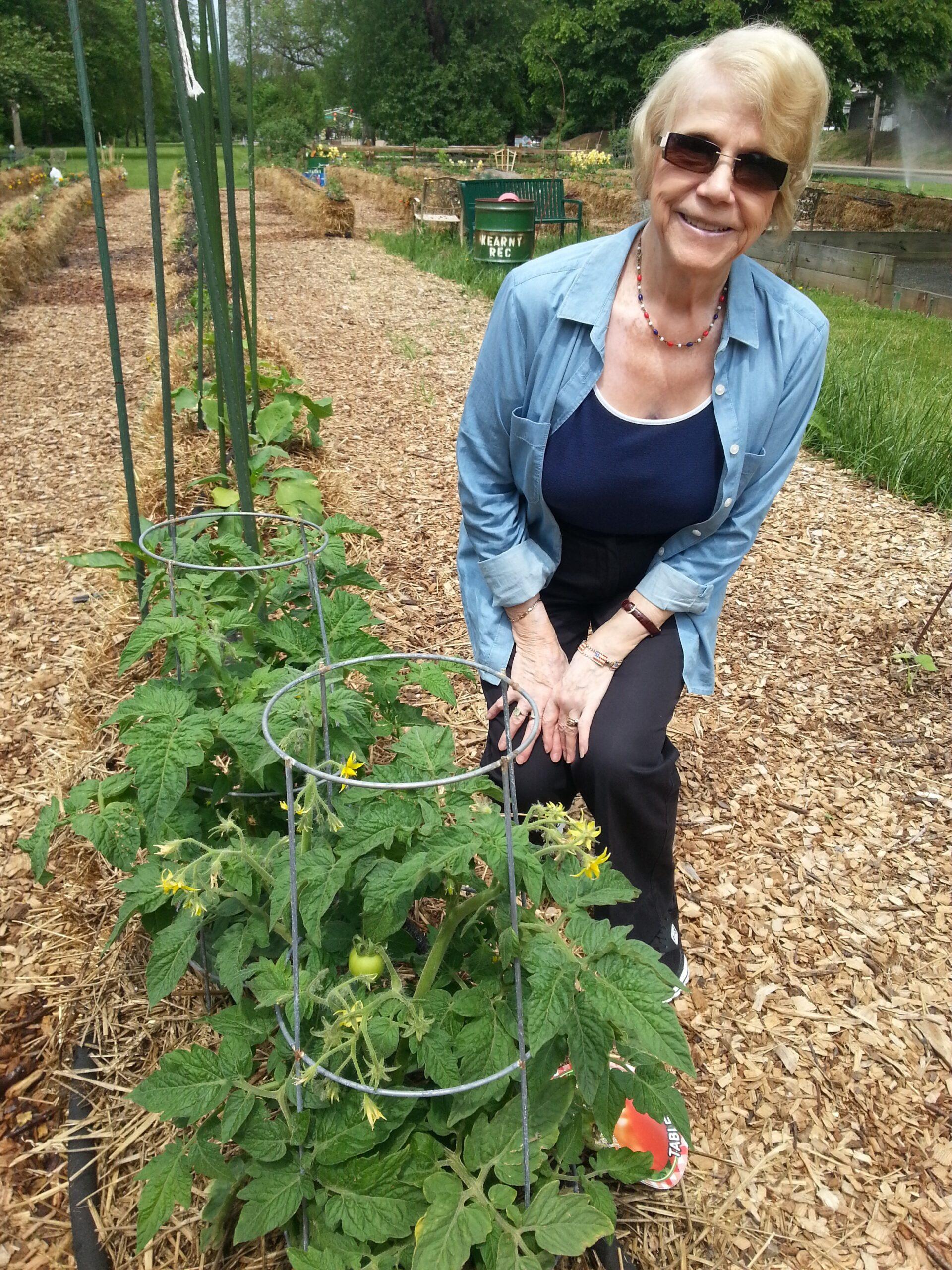 BaleBuster5 – Five Bale Box + Straw Bale Gardens book, Starter Package ...